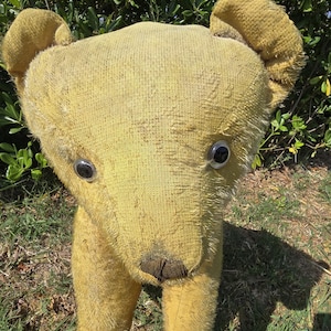 Amazing Antique Rare Large FRENCH FADAP 1930s Teddy Bear on Wheels 26in ...