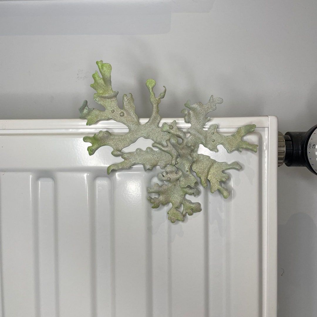 Realistic Lichen Magnets, Moss Magnets, Mushroom Magnets set of 3 ...