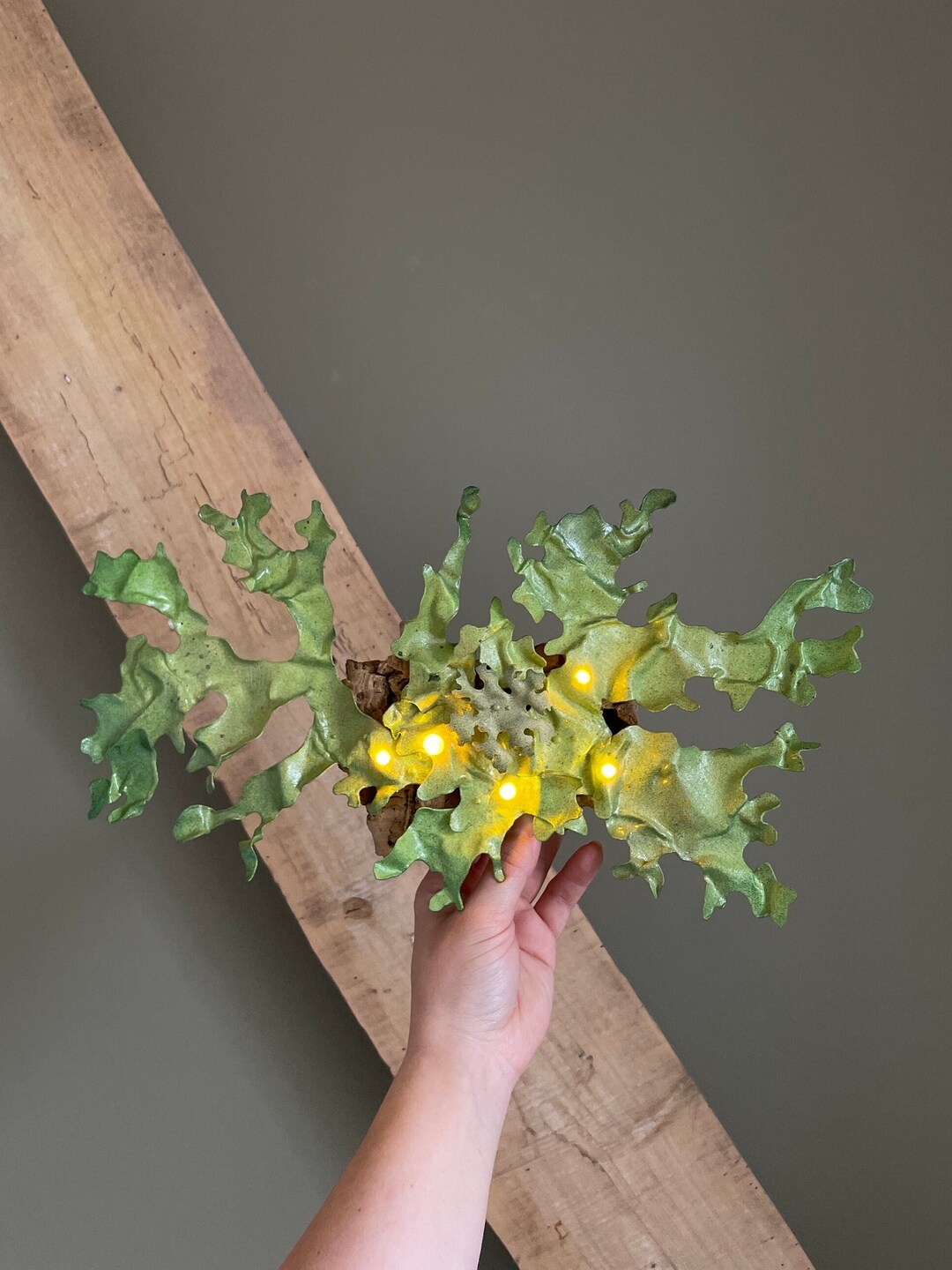 Large LED Lichen Wall Hanging, Wall Lichen, Wall Decor GREEN - Etsy