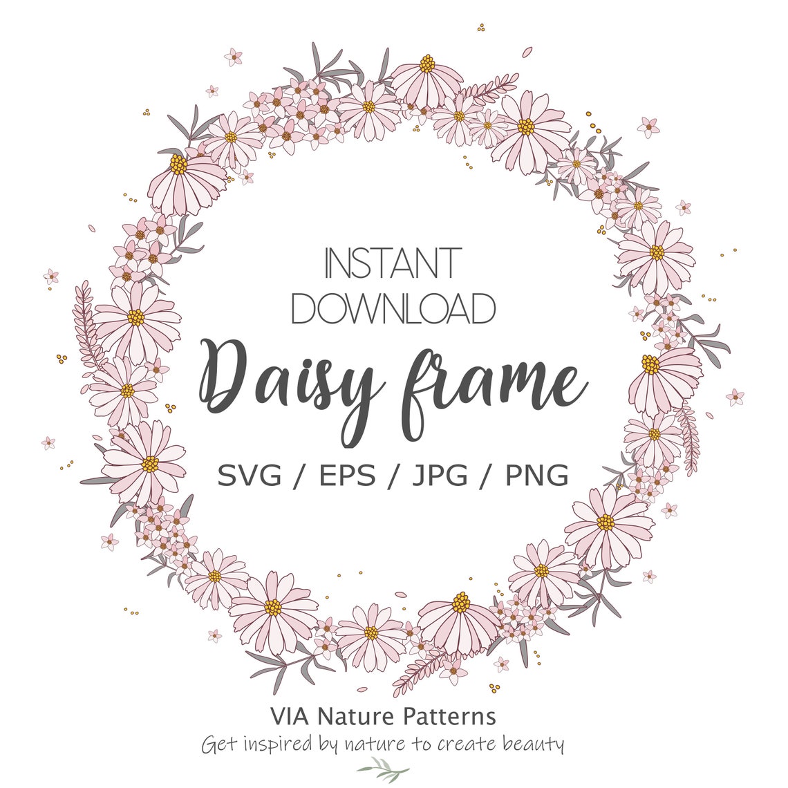 Daisy Frame SVG PNG, Frame Flowers Svg, Flower Frame Png, Flower Frame ...