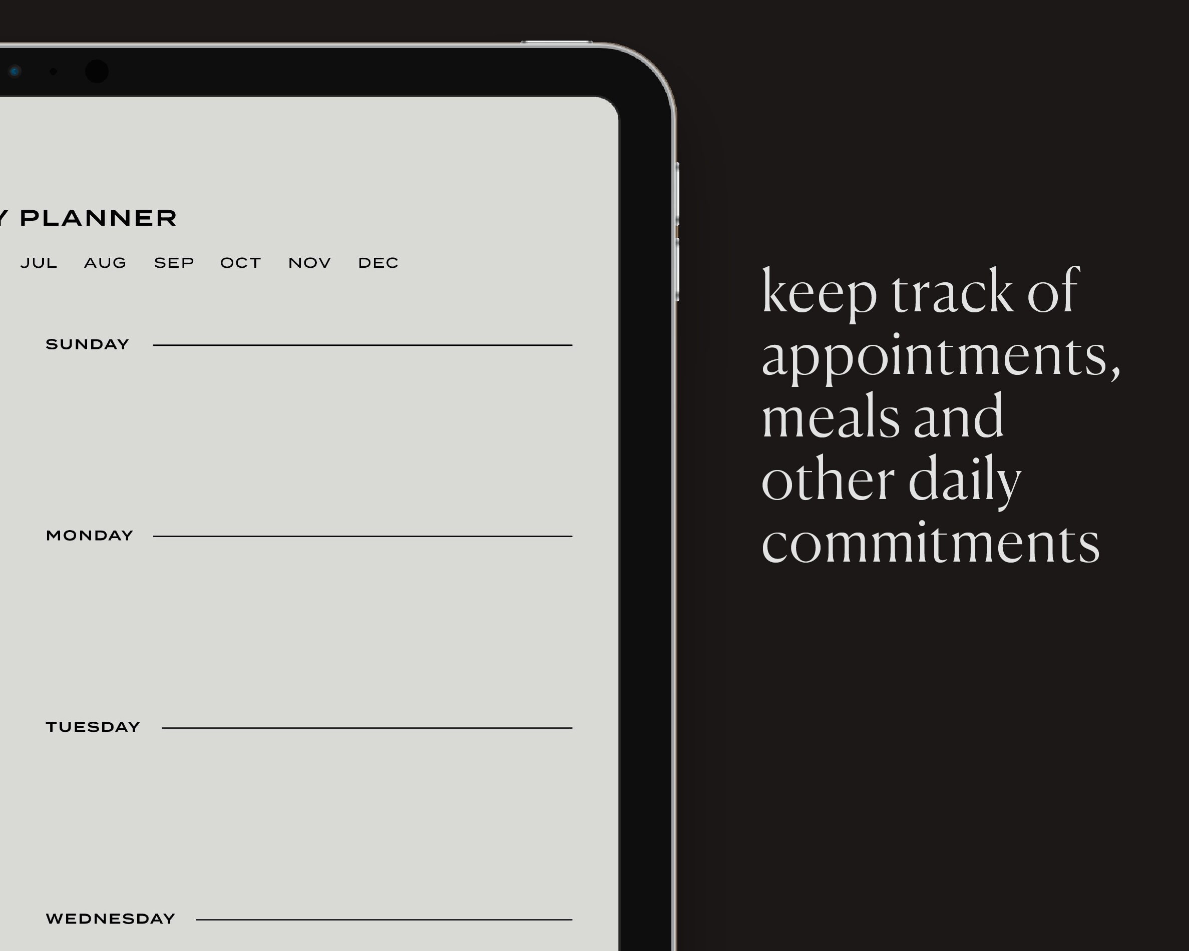 Digital Weekly Planner, iPad Minimalist Planner, Tablet Weekly Plan ...