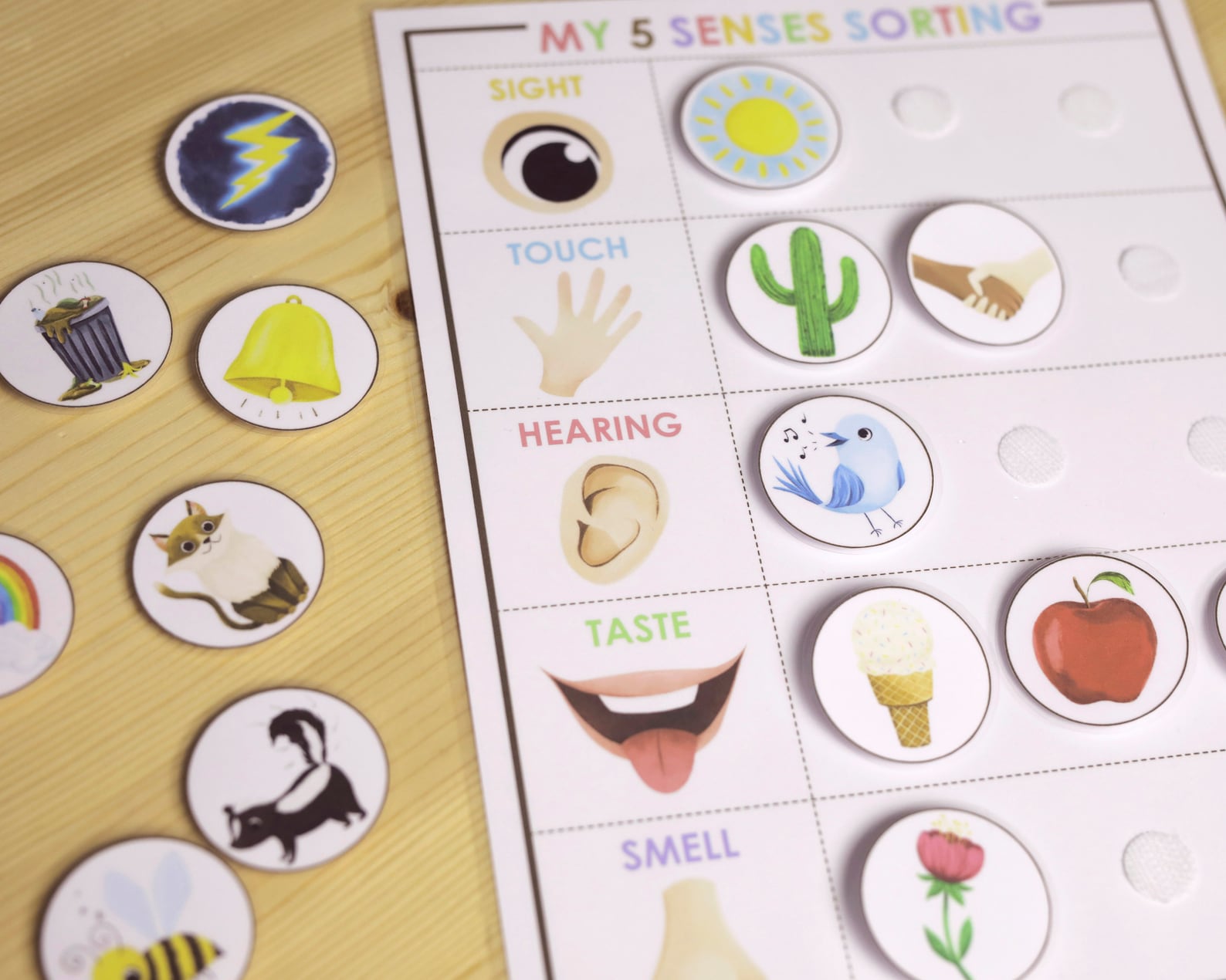 My 5 Senses Sorting Game Preschool Printable Busy Book | Etsy