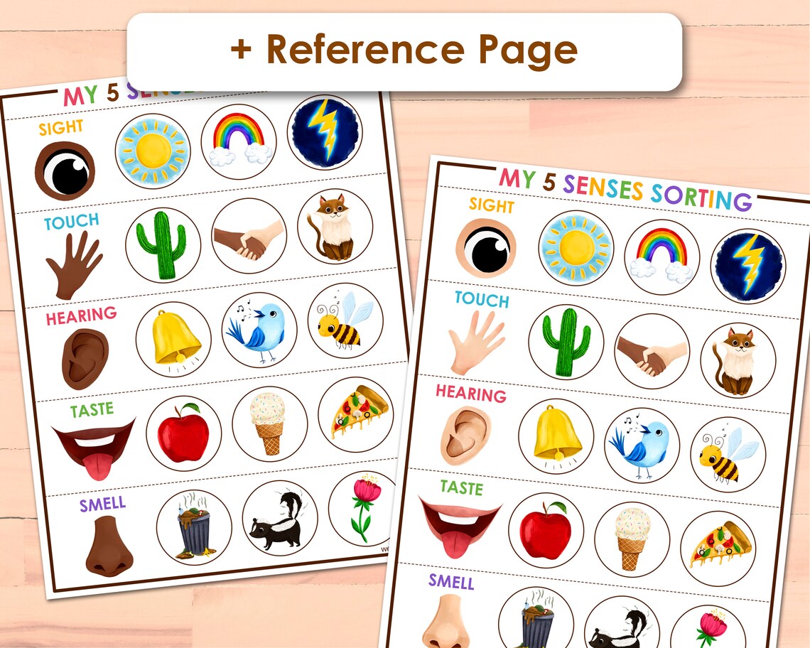 My 5 Senses Sorting Game Preschool Printable Busy Boo - vrogue.co My 5 Senses Sorting Game Preschool Printable Busy Boo - vrogue.co