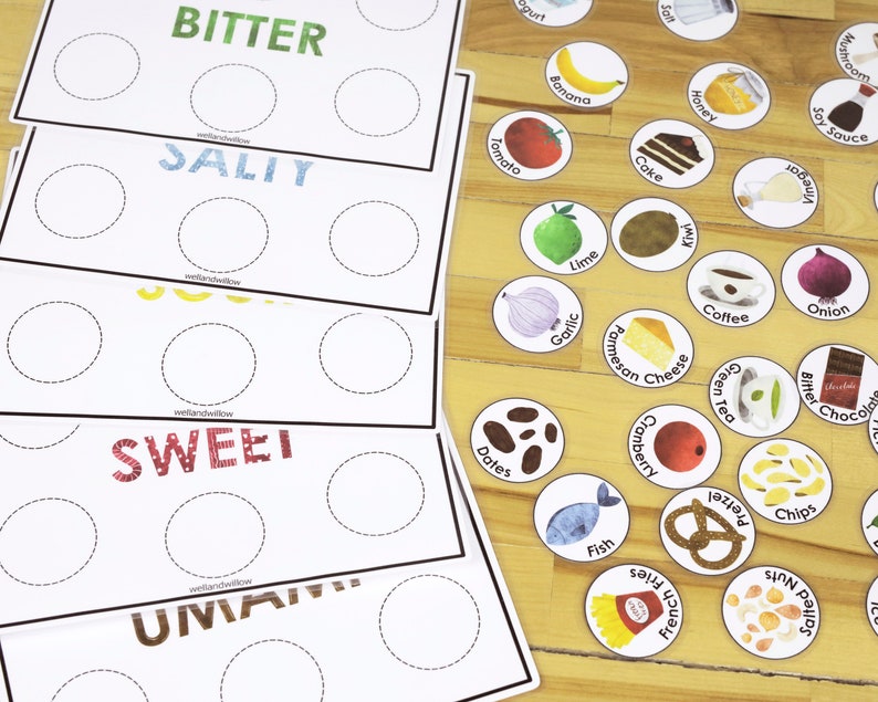 Sense of Taste Sorting Game Homeschool Preschool Binder | Etsy