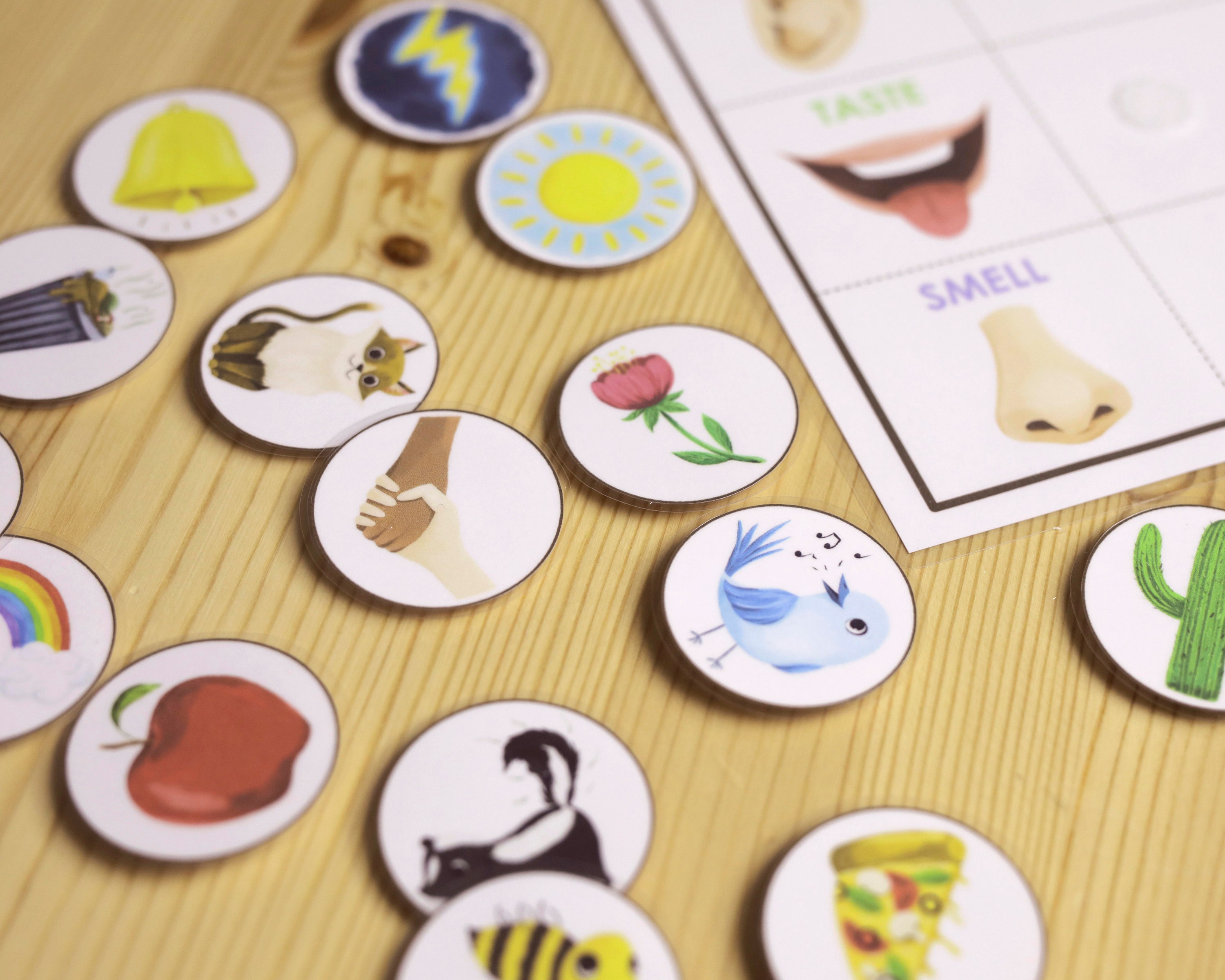 My 5 Senses Sorting Game Preschool Printable Busy Book | Etsy