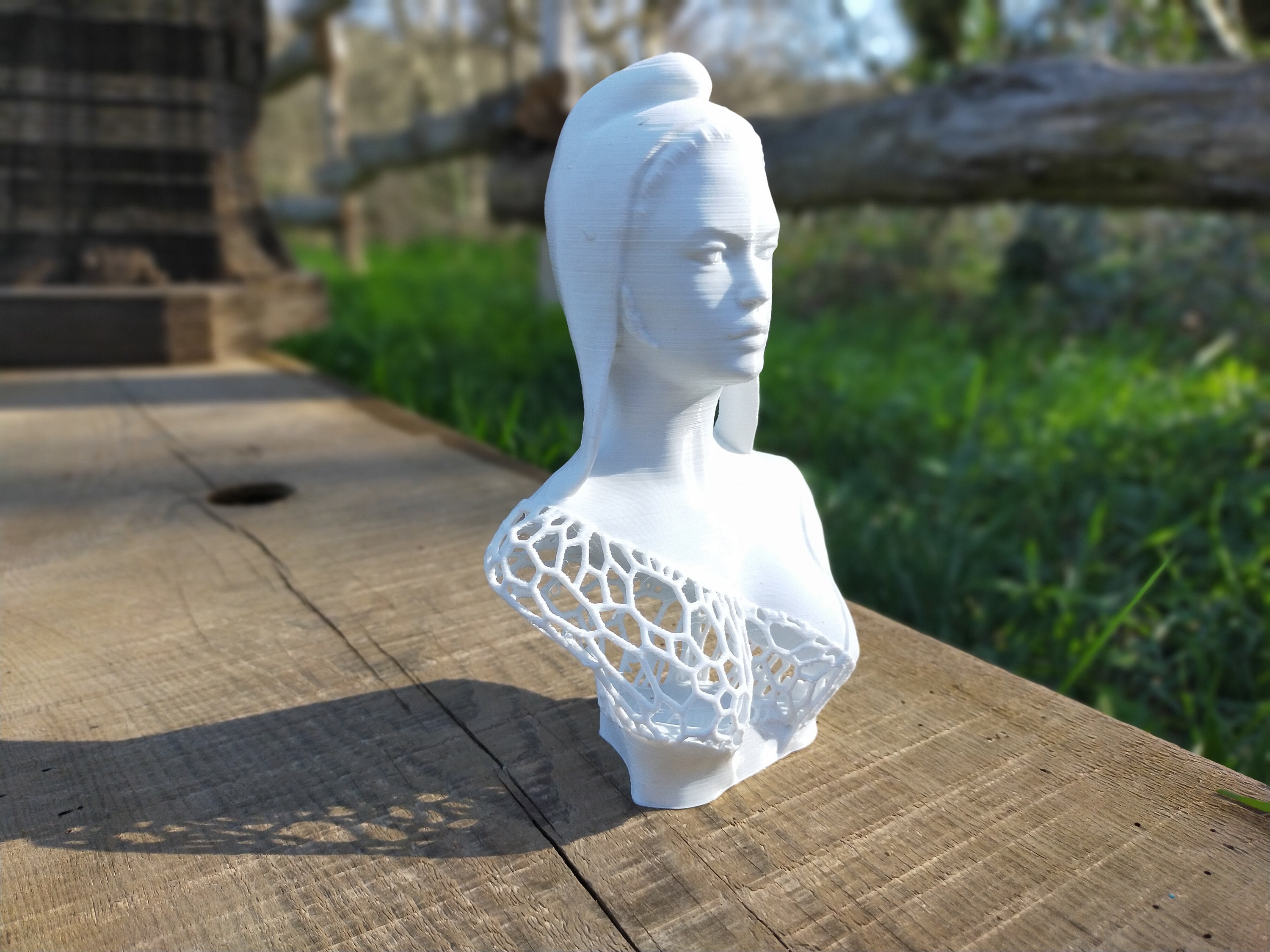 Fichier STL File 3D Print Impression 3D Buste Bust Marianne Voronoi - Etsy