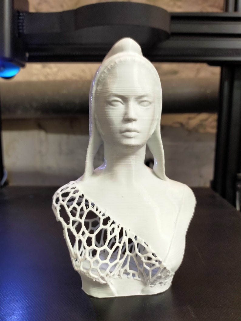 Fichier STL File 3D Print Impression 3D Buste Bust Marianne Voronoi - Etsy