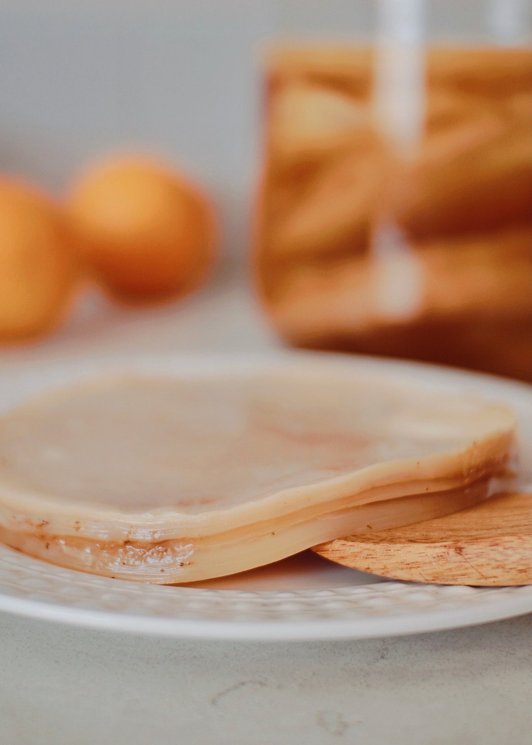 Large Kombucha SCOBY Pellicle + STRONG Starter Tea | Live Probiotic ...