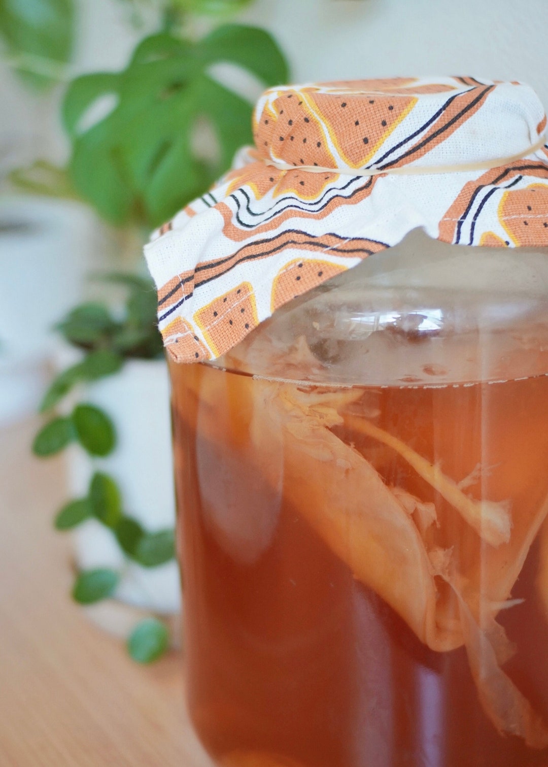 Kombucha SCOBY Hotel | STRONG Starter Tea - Probiotic Culture | SCOBY ...
