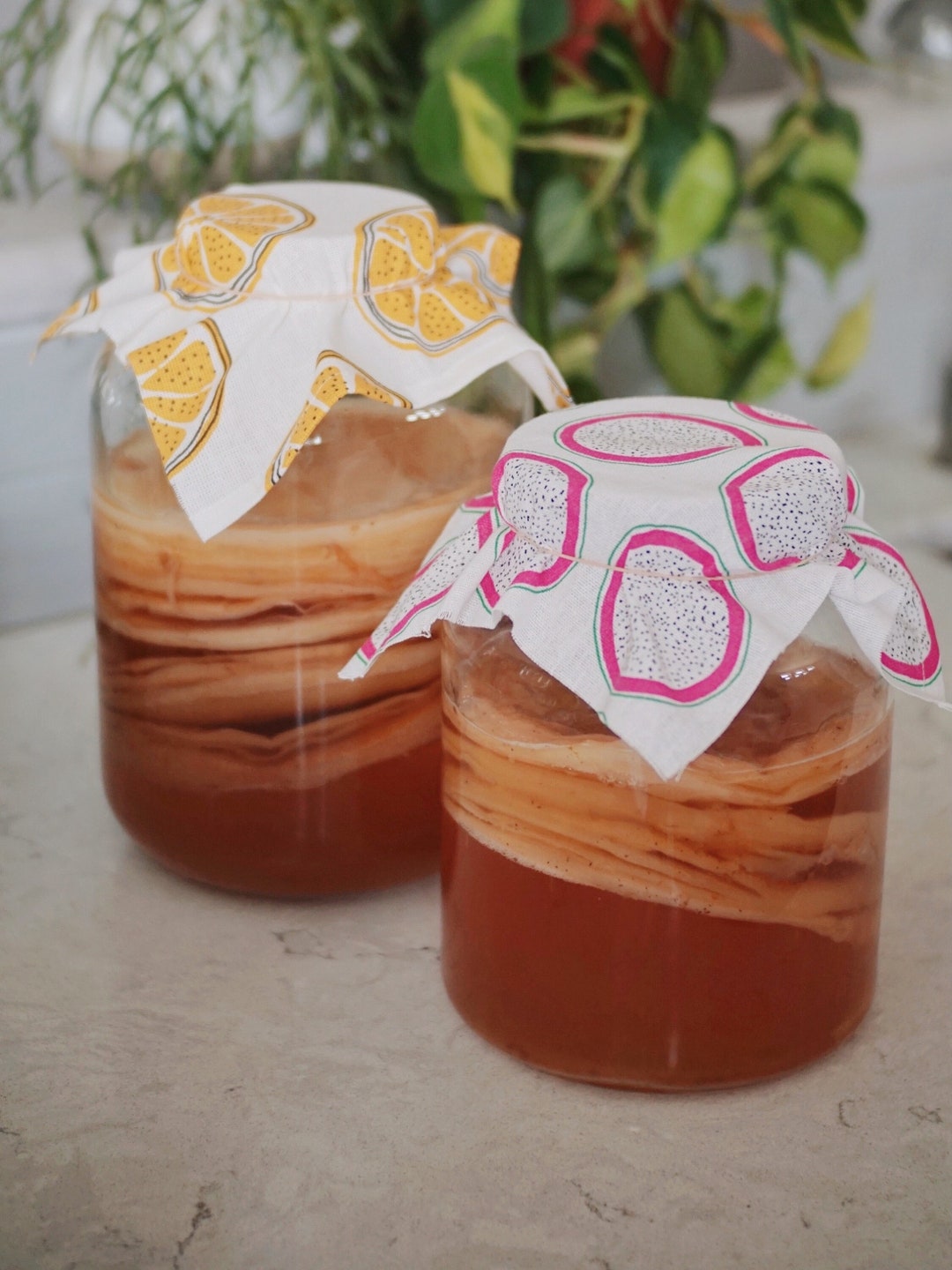 Kombucha Cotton Cloth Cover | Home Brewing Accessories | Reusable Cover ...