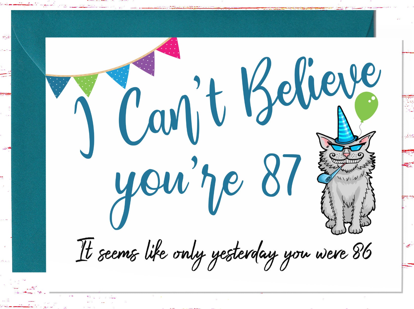 Funny 87th Birthday Card Her Sarcastic Birthday Card for 87th - Etsy