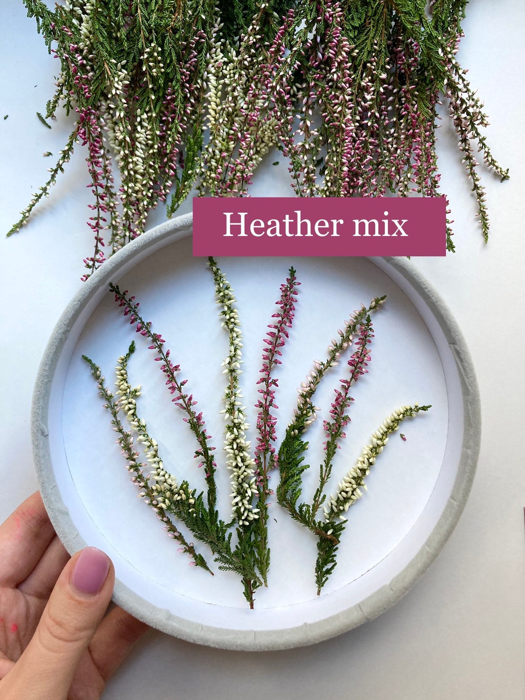 Dried Heather for Resin Heather Branches Tiny Flowers Calluna Mix Small ...
