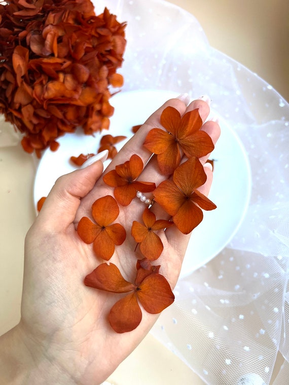Terracotta Wedding Flowers Dry Hydrangea Dried Orange - Etsy
