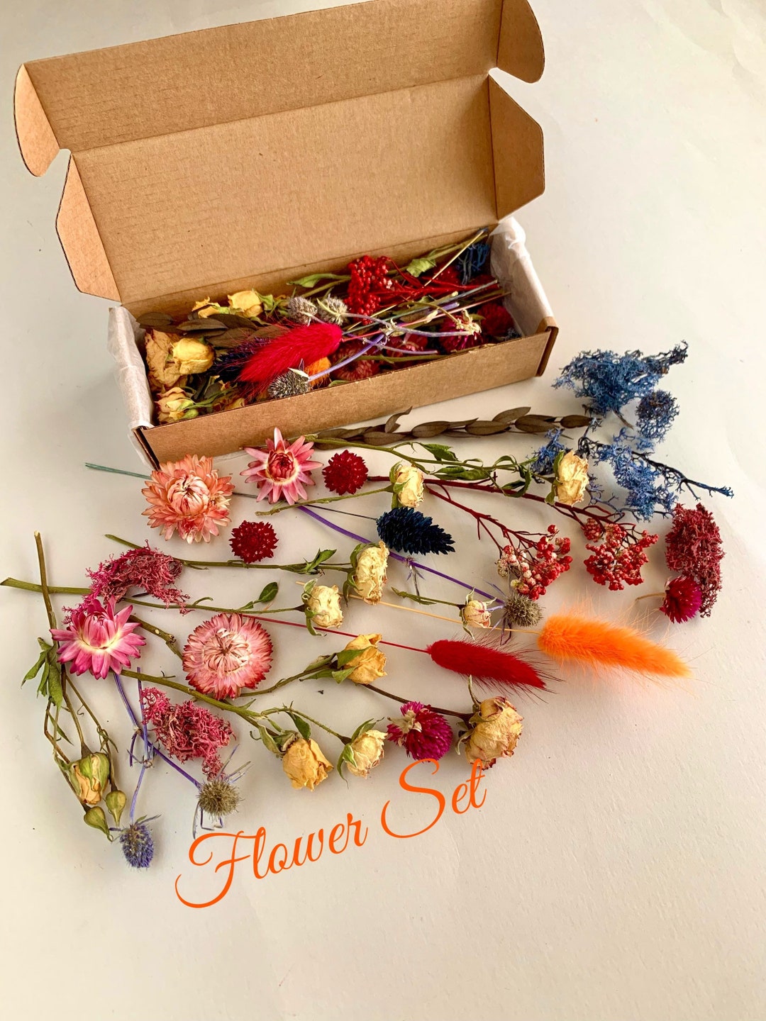 Tiny Flowers for Resin Autumn Plants Atutumn Resin Eucalyptus Dried ...
