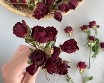 Dried Mini Roses - Etsy