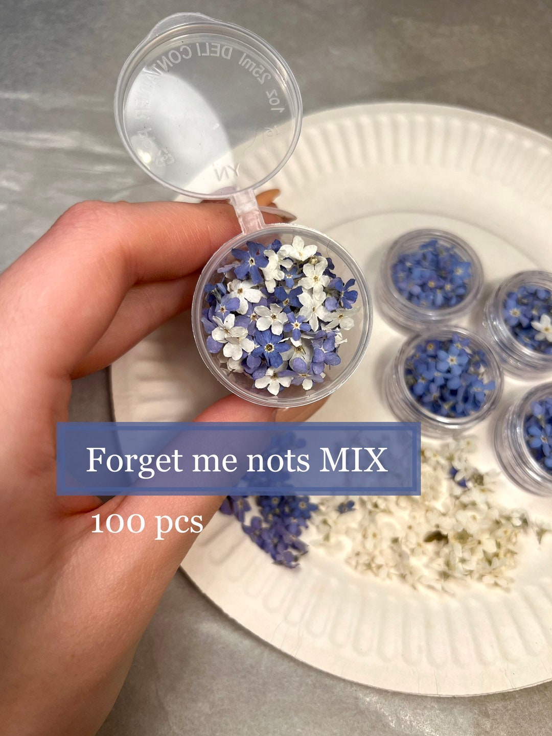 Dried Forget Me Nots White Blue Forget Me Nots Dry Mix Blue - Etsy
