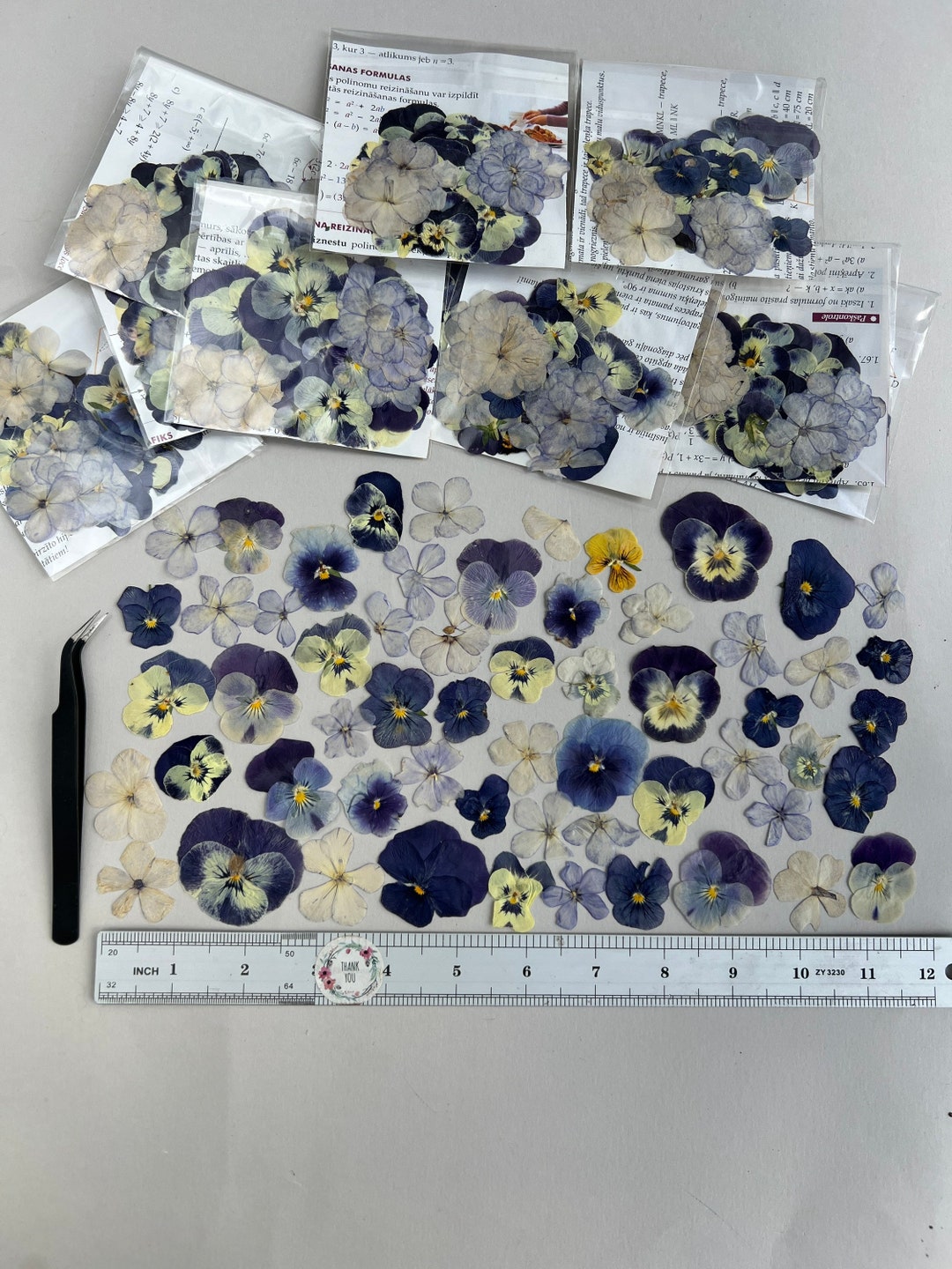 50 Blue Pressed Flowers Edible Flowers Pressed Flower Mix Set Pressed ...