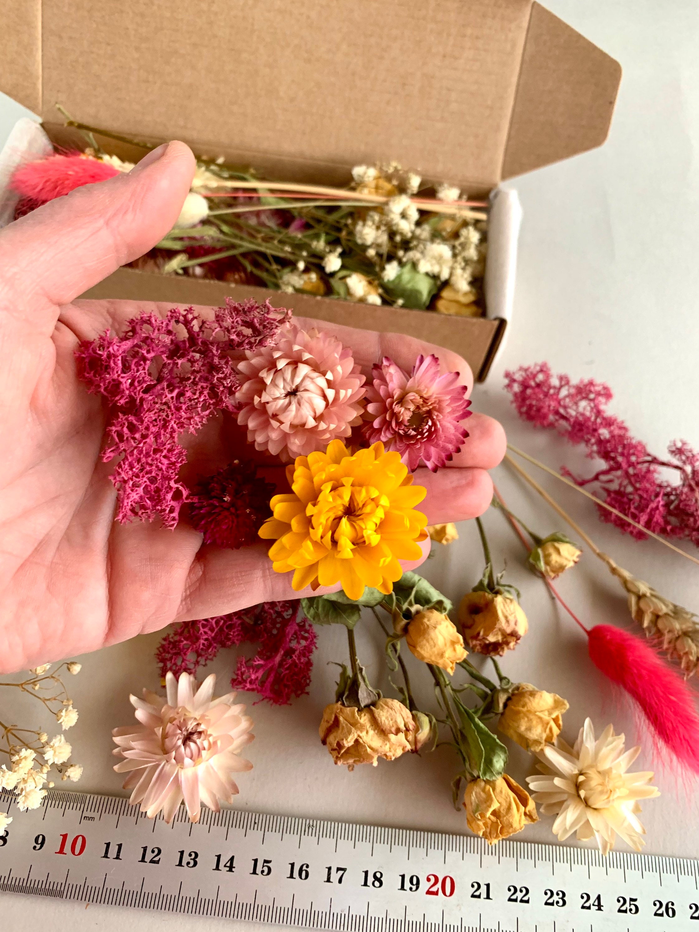 Tiny Flowers for Resin Dried Pink Gomphrena Strawflowers Dry - Etsy