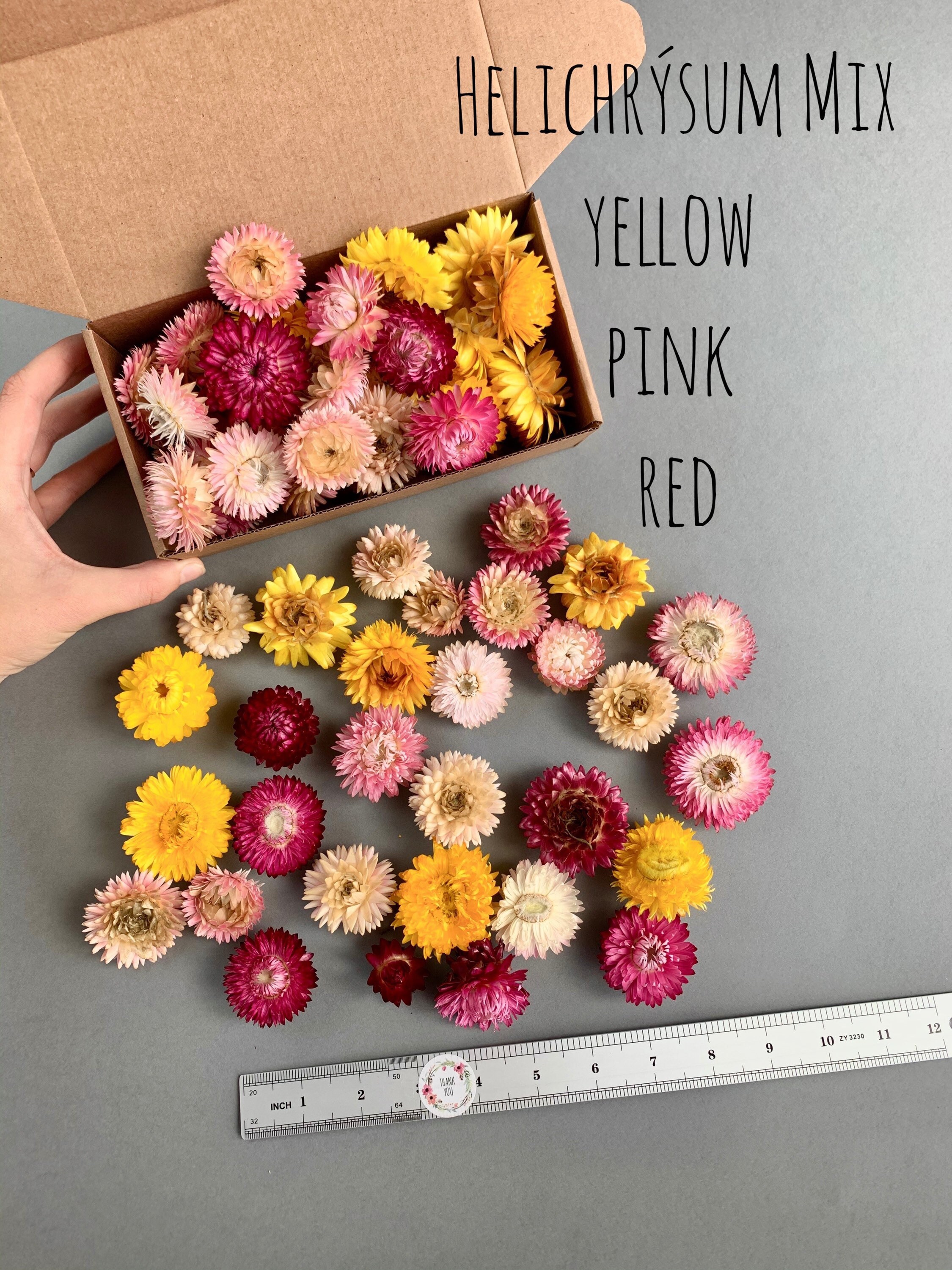 Organic Dried Mix Helichrysum Dry Flowers Wedding Decoration - Etsy