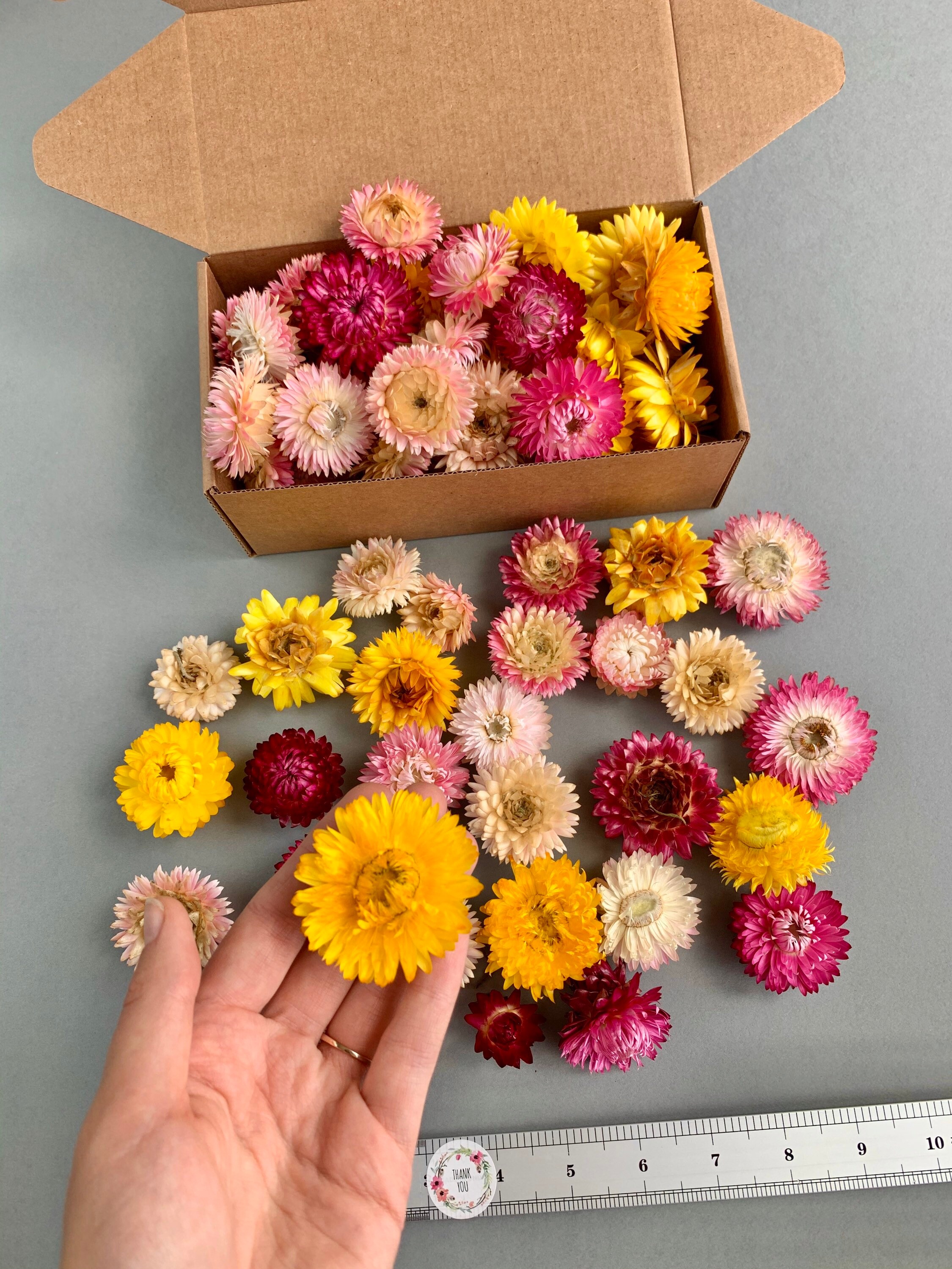 Organic Dried Mix Helichrysum Dry Flowers Wedding Decoration - Etsy