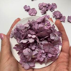Dried Hydrangea Dried Purple Hydrangea Real Dried Flowers for Resin ...