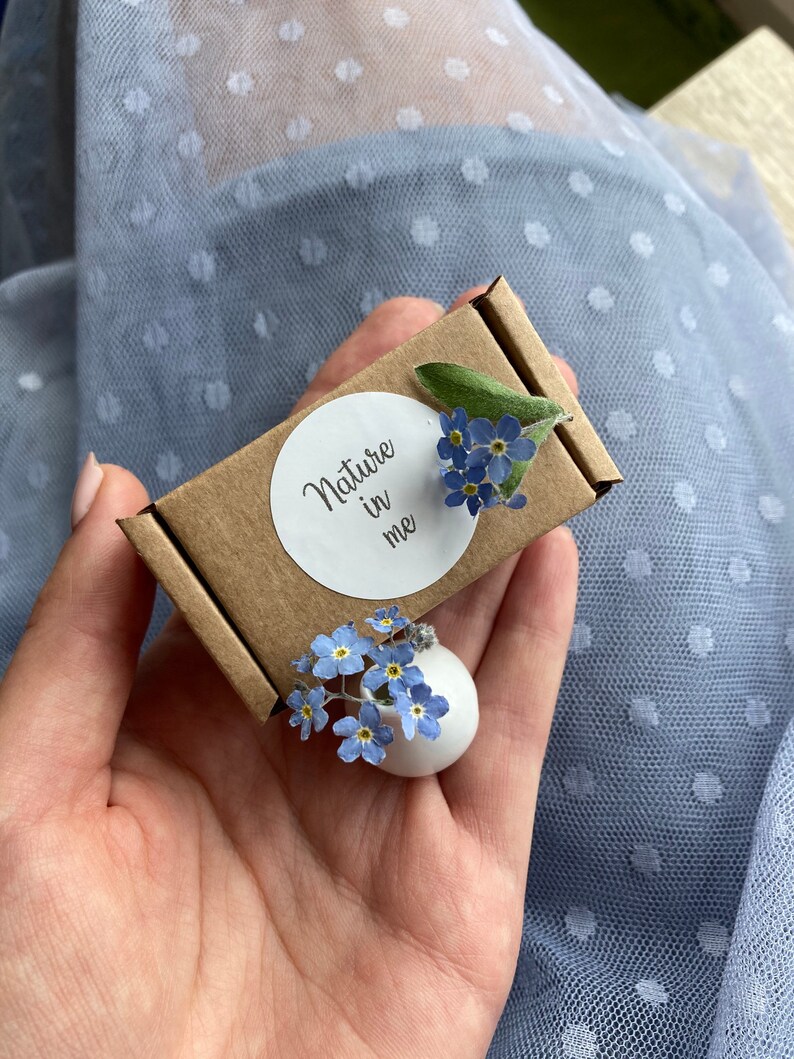 Dried Forget Me Nots Blue Forget Me Nots Dry Blue Flowers Tiny - Etsy ...