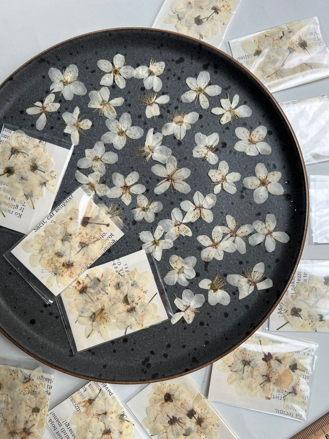 Tiny Real Pressed Flowers Pressed Blossom Flowers White Floral Craft ...