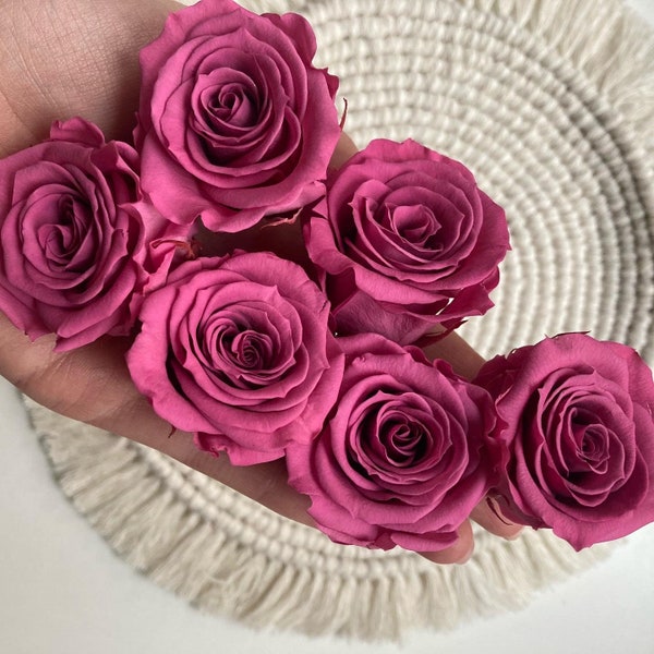 Preserved Rose Heads - Etsy