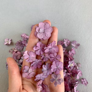 Dried Hydrangea Dried Purple Hydrangea Real Dried Flowers for Resin ...