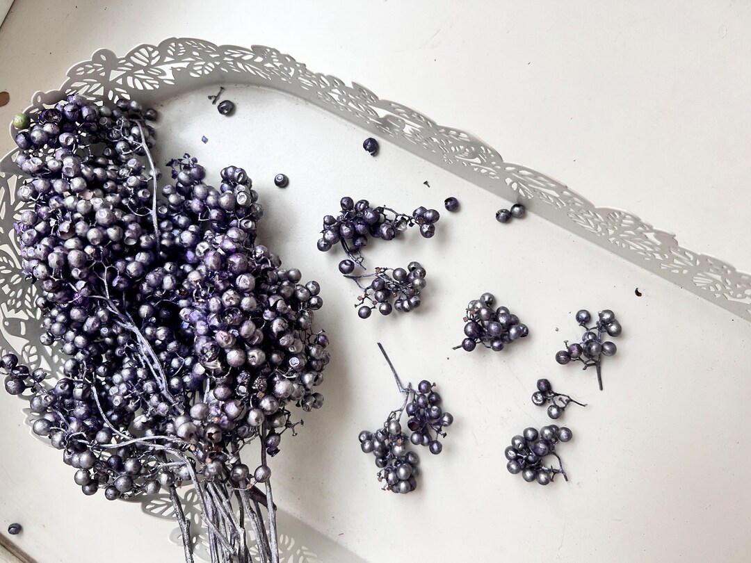 Dried Pepperberries for Resin Purple Berries Small Berry for Epoxy ...