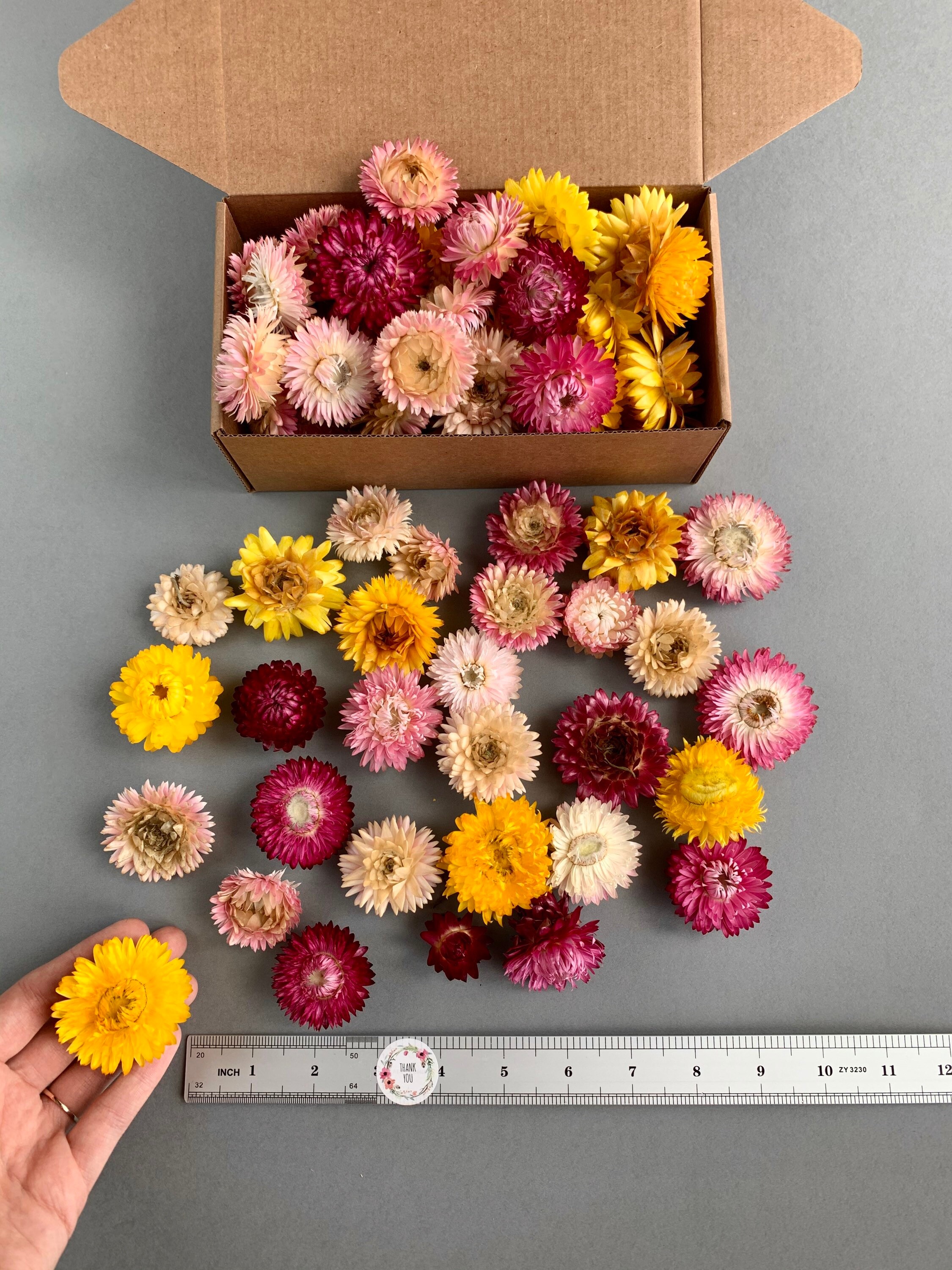 Organic Dried Mix Helichrysum Dry Flowers Wedding Decoration - Etsy