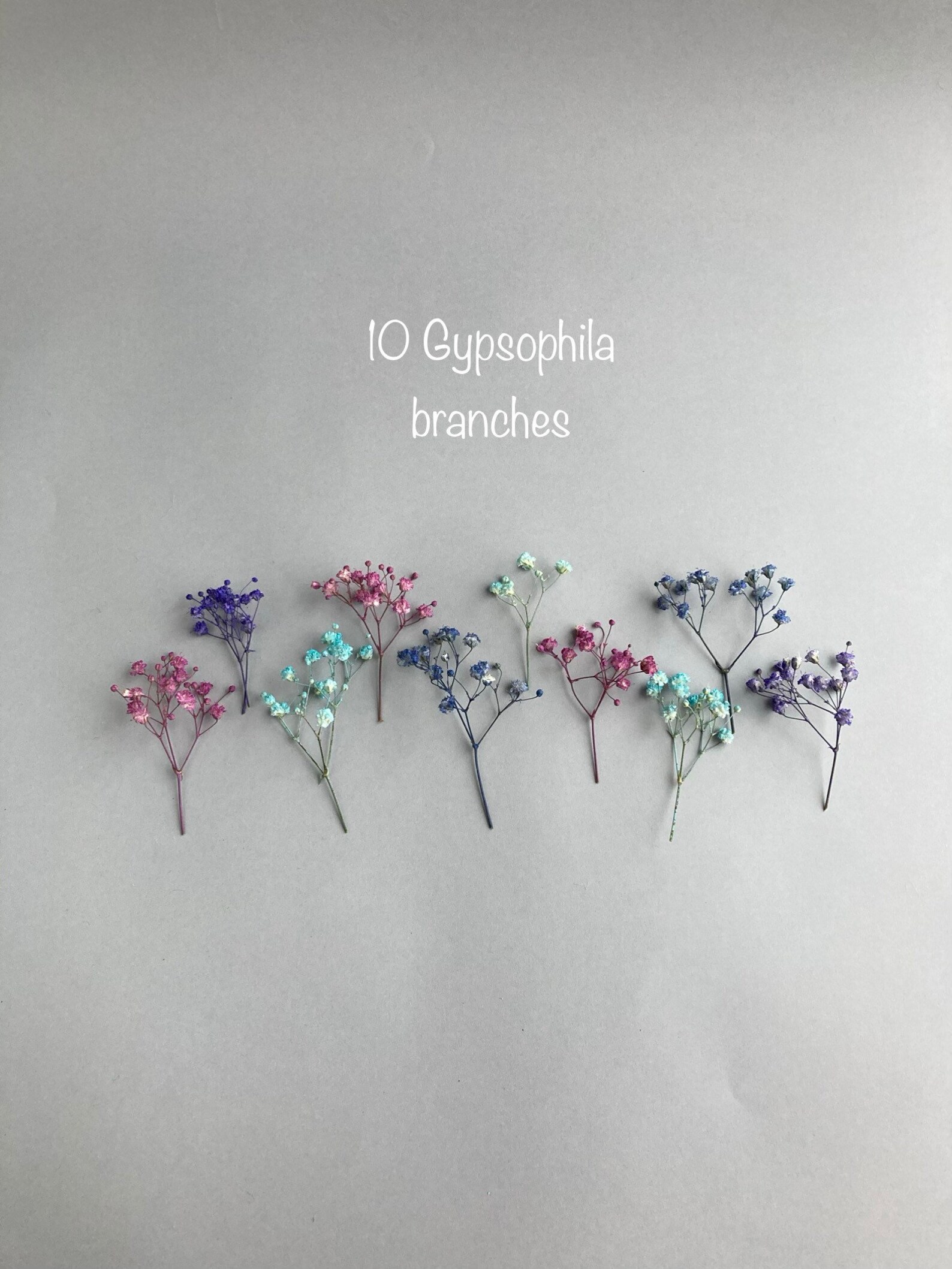 Blue Dried Gypsophilia Flowers Natural Babys Breath Bouquet - Etsy