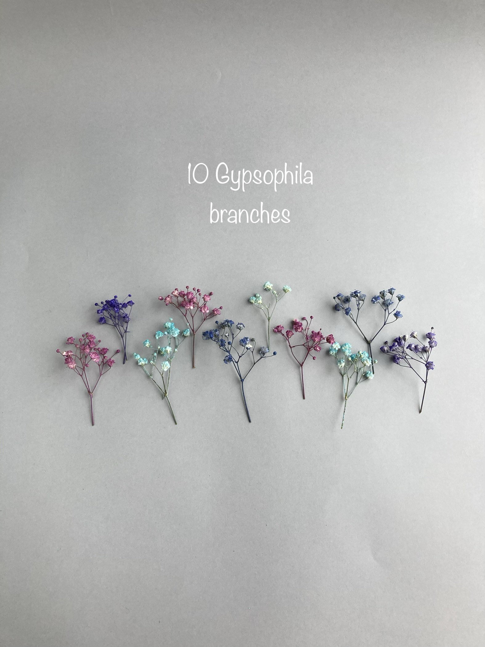 Blue dried gypsophilia flowers Natural Babys breath bouquet | Etsy