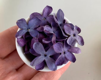 Dried Purple Lilac Flowers - Etsy