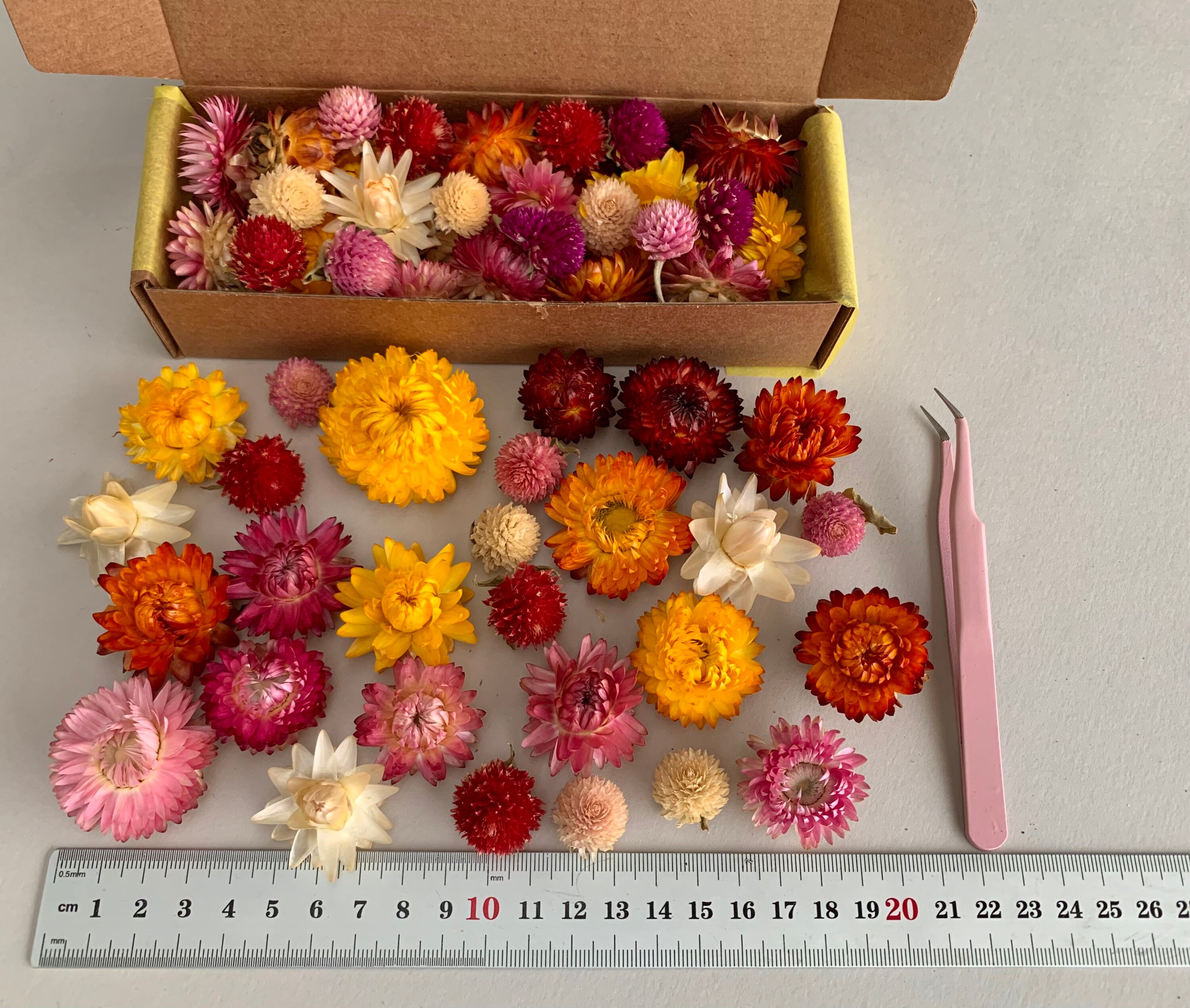 Tiny Flowers for Resin Dried Pink Gomphrena Strawflowers Dry | Etsy