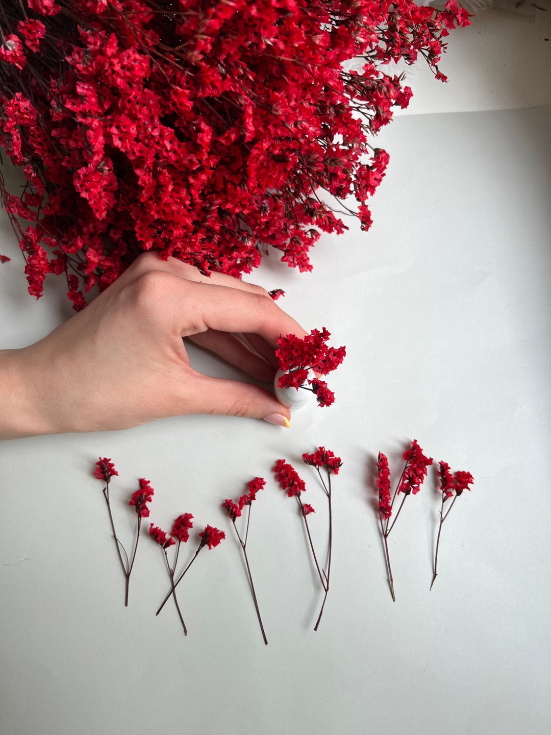 10/20/30 Tiny Dried Red Flowers Dried Smallest Flower Branches Tiny ...