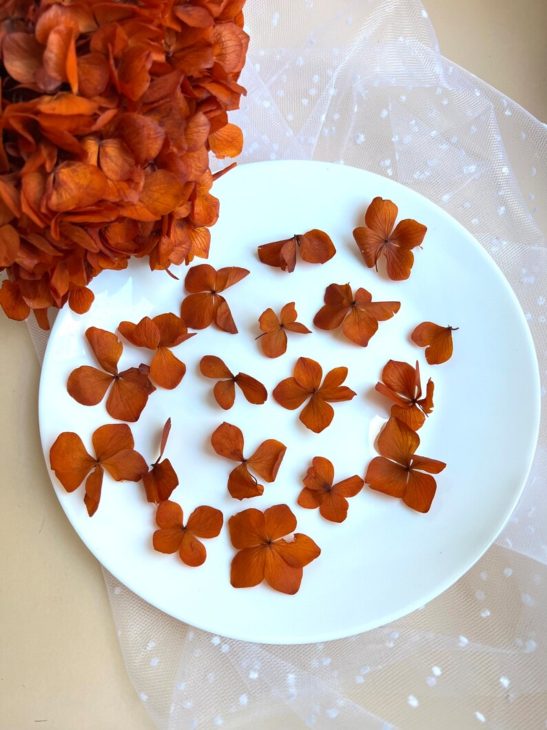 Terracotta Wedding Flowers Dry Hydrangea Dried Orange - Etsy