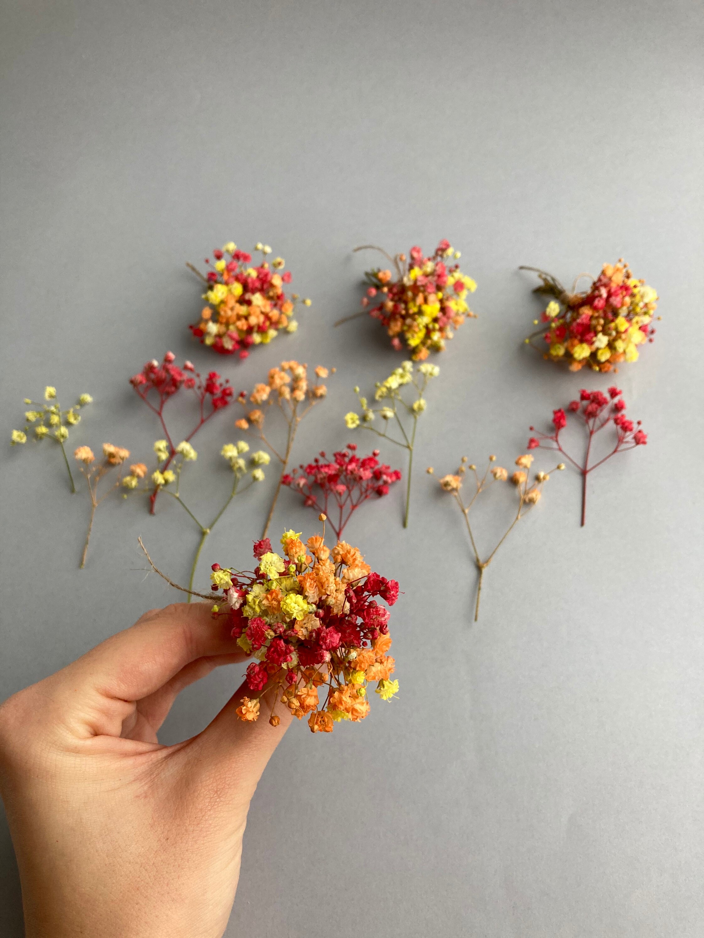 Colorful gypsophilia flowers Natural Babys breath yellow | Etsy