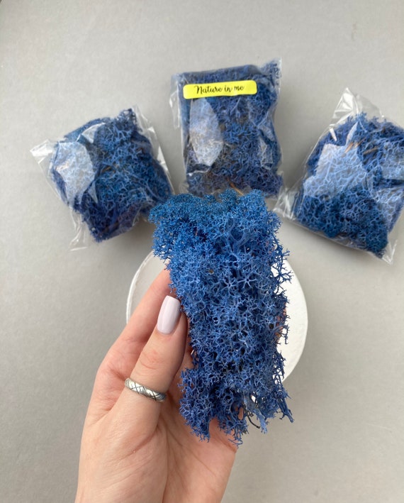 Blue Moss