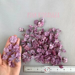 Dried Hydrangea Dried Purple Hydrangea Real Dried Flowers for Resin ...