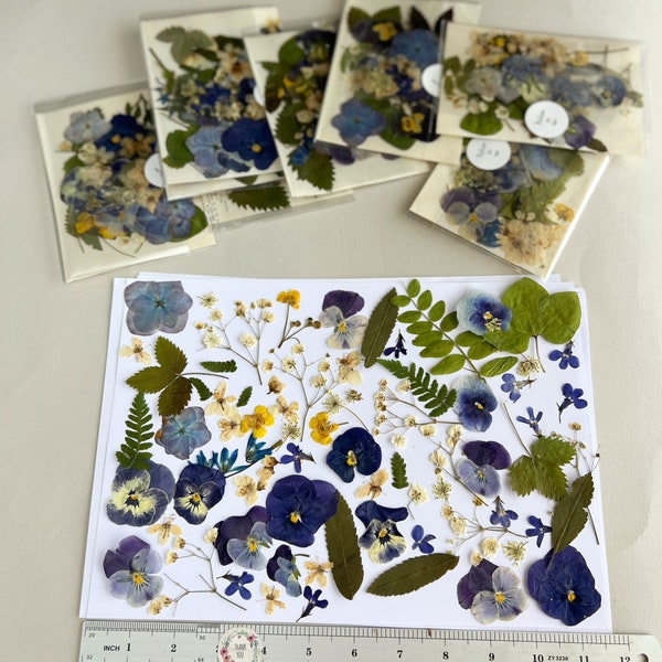 Pressed Flower - Etsy