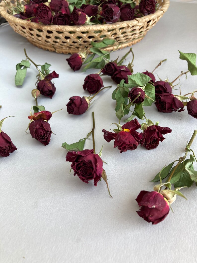 Dried Red Roses Bulk Herbs Dried Flowers Roses For Resin | Etsy