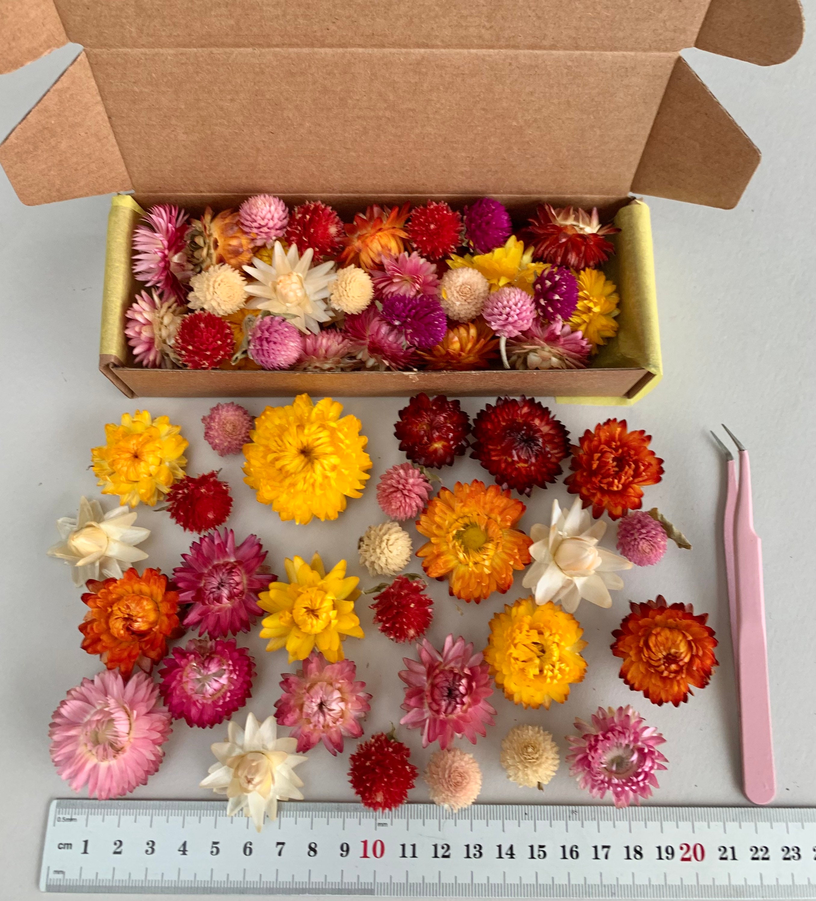 Tiny Flowers for Resin Dried Pink Gomphrena Strawflowers Dry | Etsy