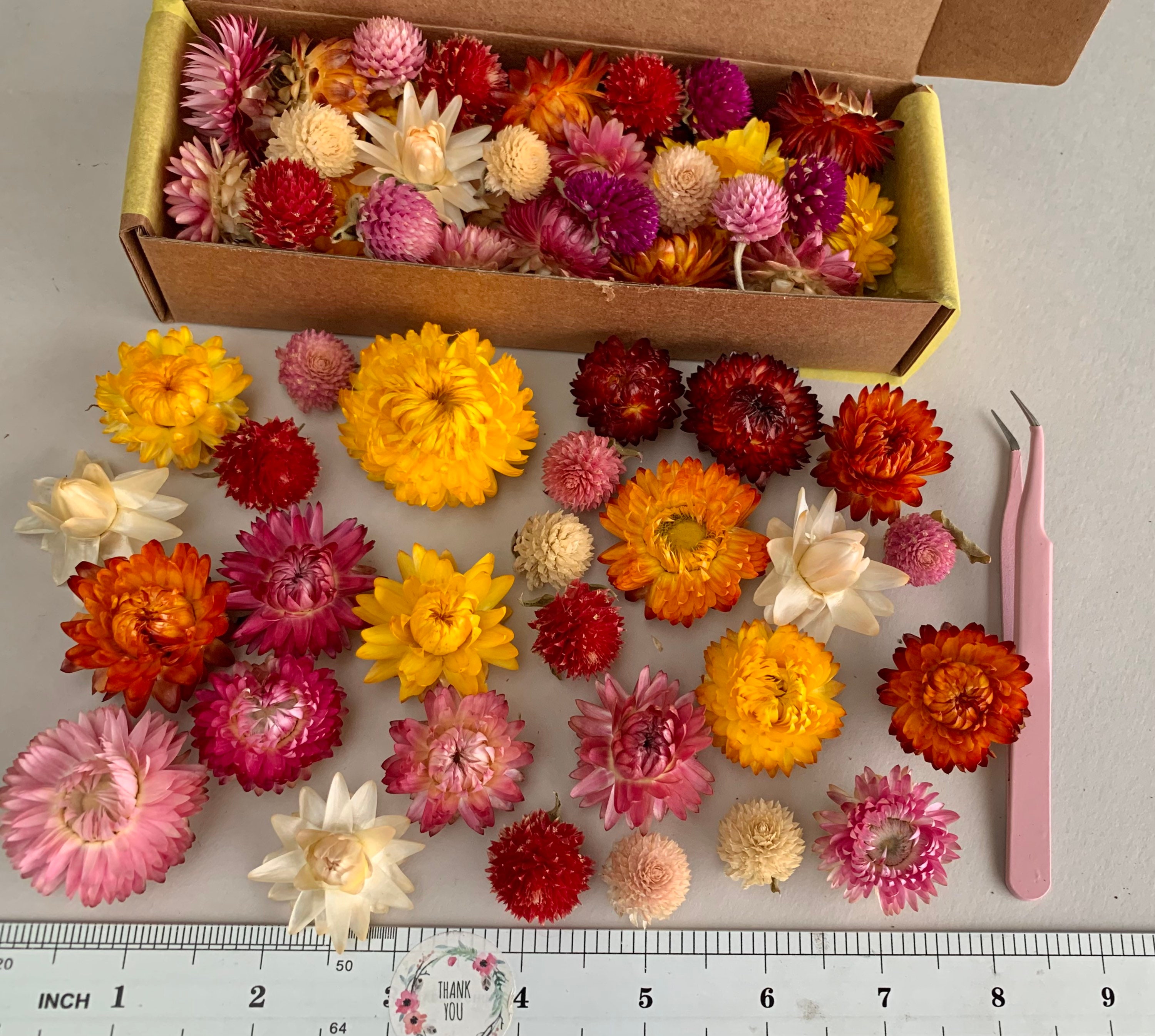 Tiny Flowers for Resin Dried Pink Gomphrena Strawflowers Dry | Etsy