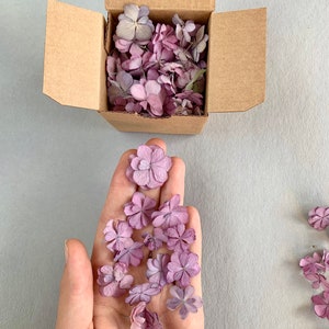 Dried Hydrangea Dried Purple Hydrangea Real Dried Flowers for Resin ...