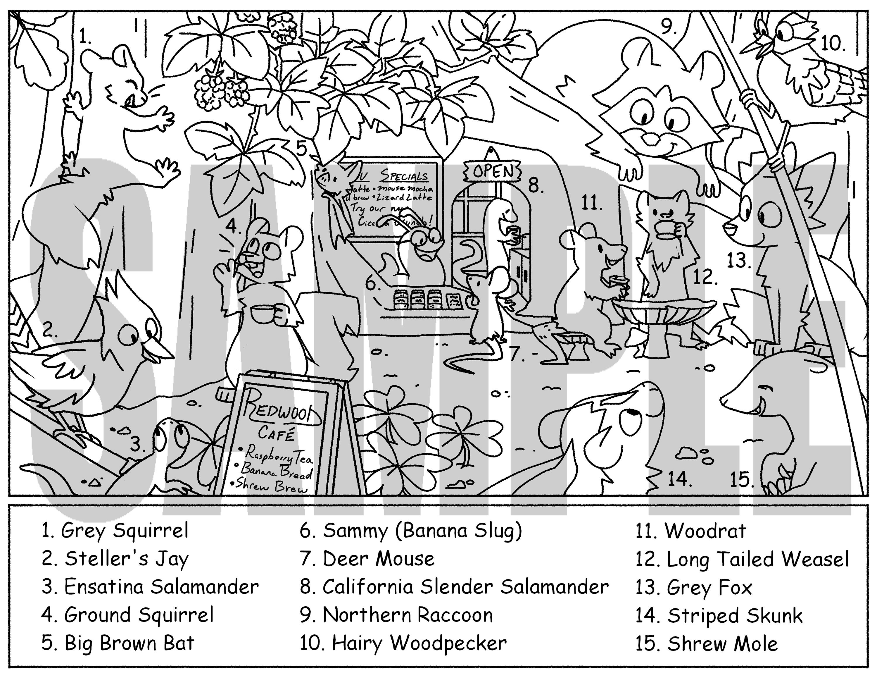 Redwood Coloring Page - Etsy