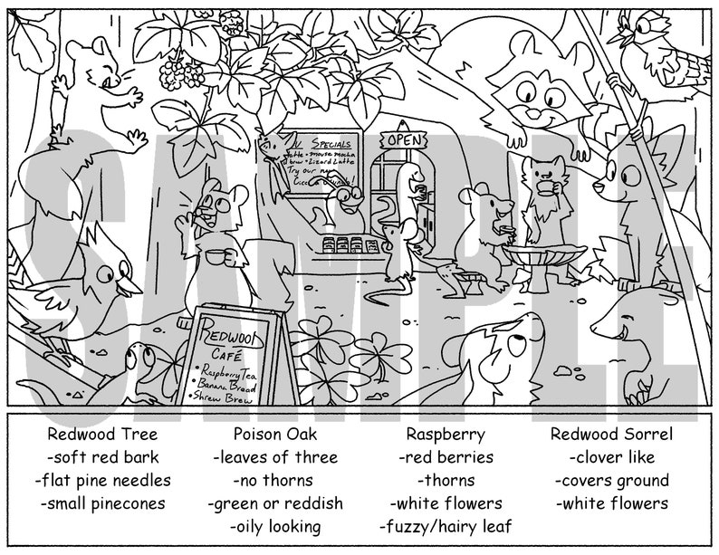 Redwood Coloring Page - Etsy