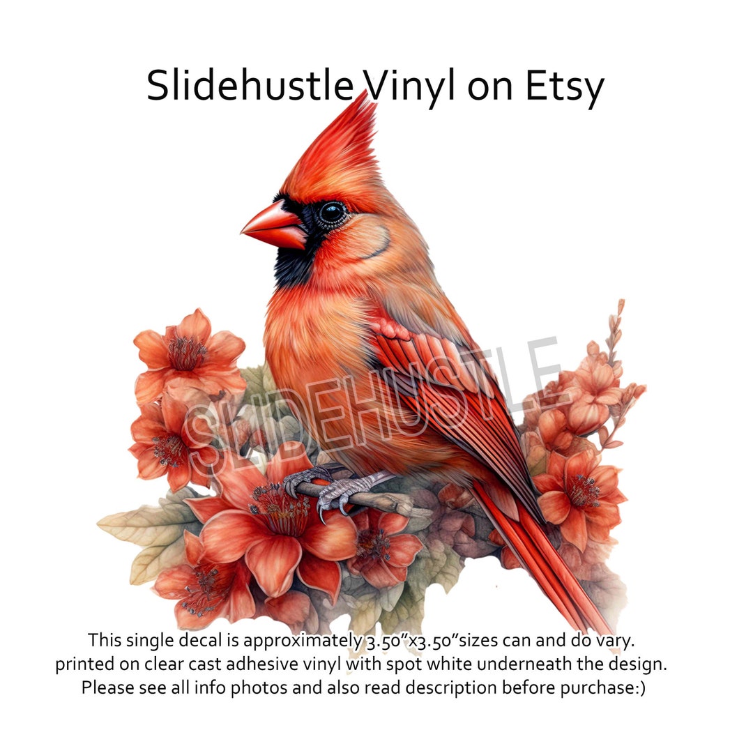Cardinal, Red Bird, Vinyl Decal, Clear Cast Spot White, CCD, Ready to ...