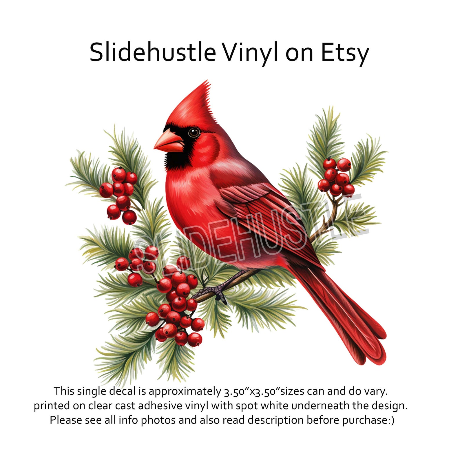 Cardinal, Red Bird, Vinyl Decal, Clear Cast Spot White, CCD, Ready to ...
