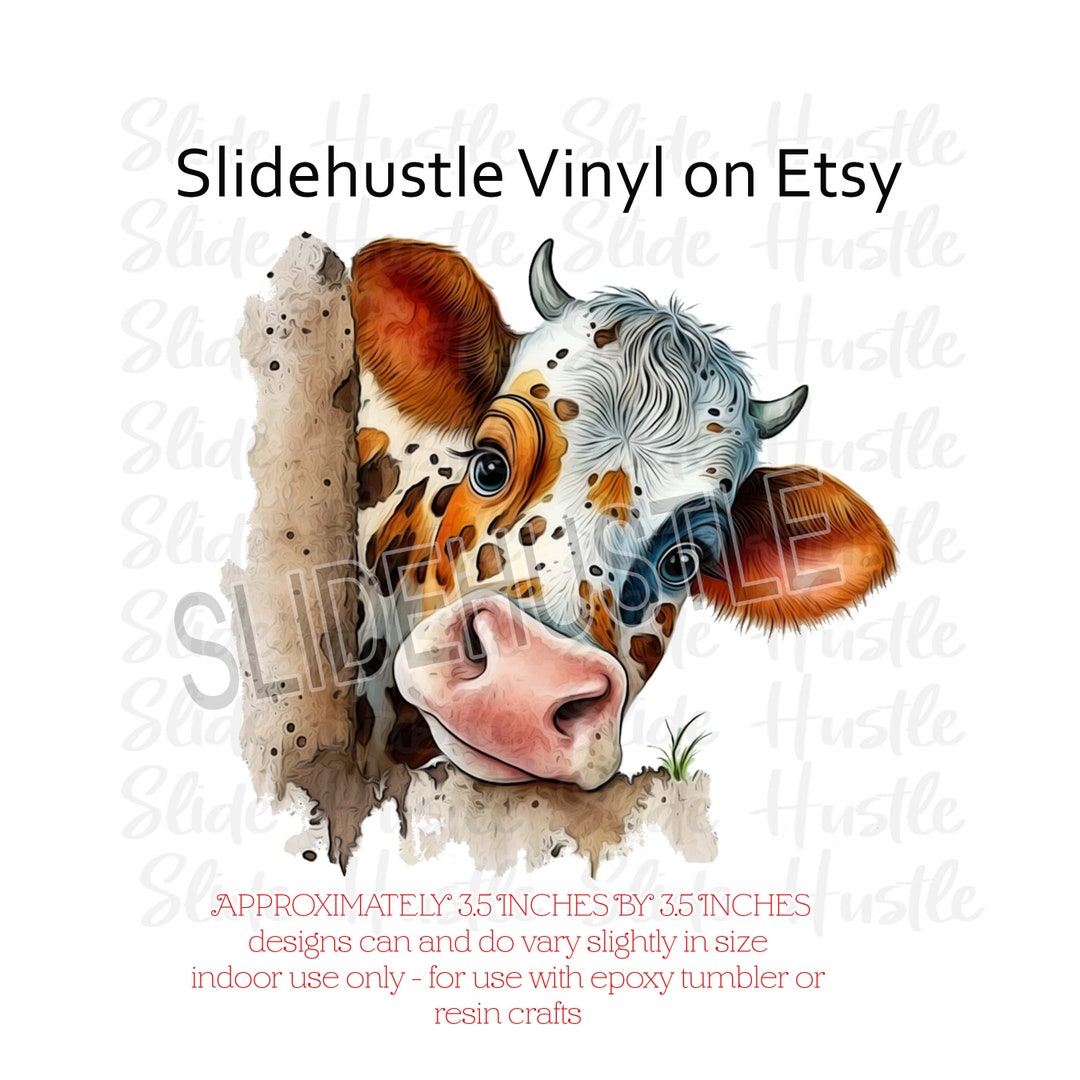 Funny Cow Decal, Cute Cow, Farm Cow, Clear Cast, Spot White Vinyl Decal ...